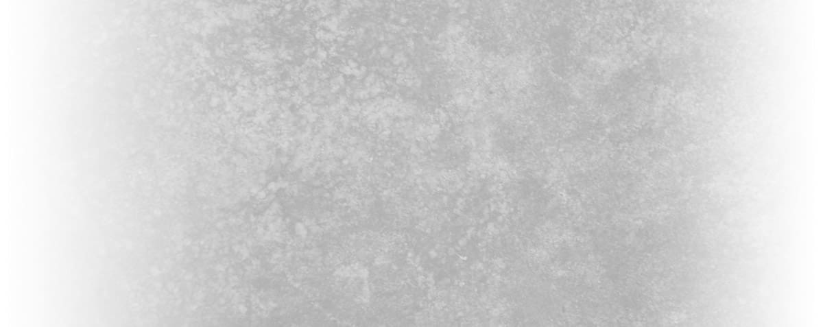 Rockwall Animal Adoption Center | RAC at Rockwall Animal Shelter